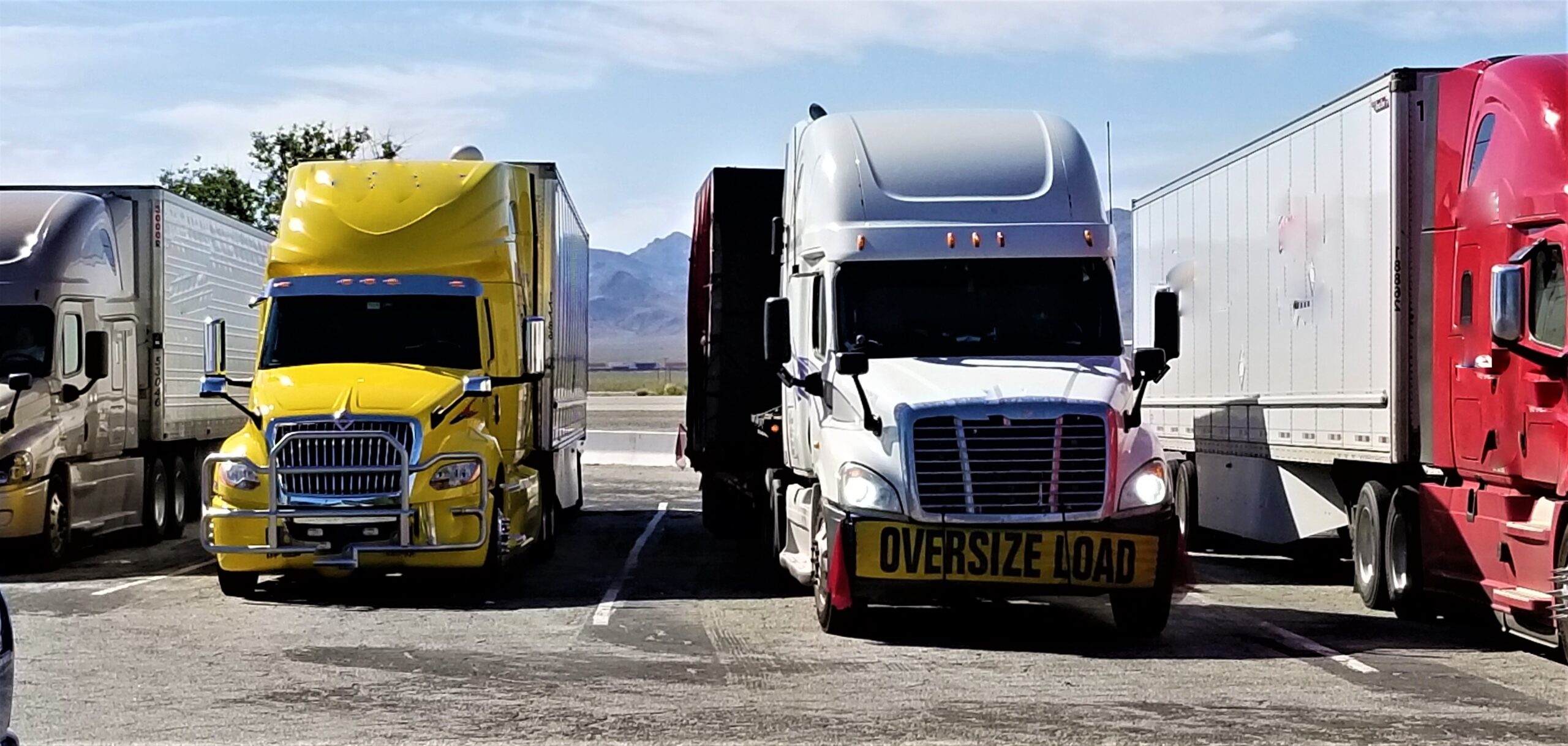 Specialized Shipping & 8 Reasons You Might Need It | PEI